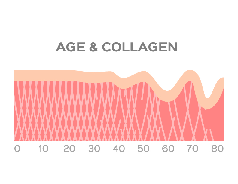 Vivoderm Natural Skincare » The Real Benefits of Consuming Collagen and ...